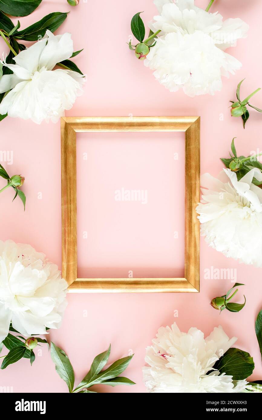 Frame of white peony flowers with space for text on pink background ...
