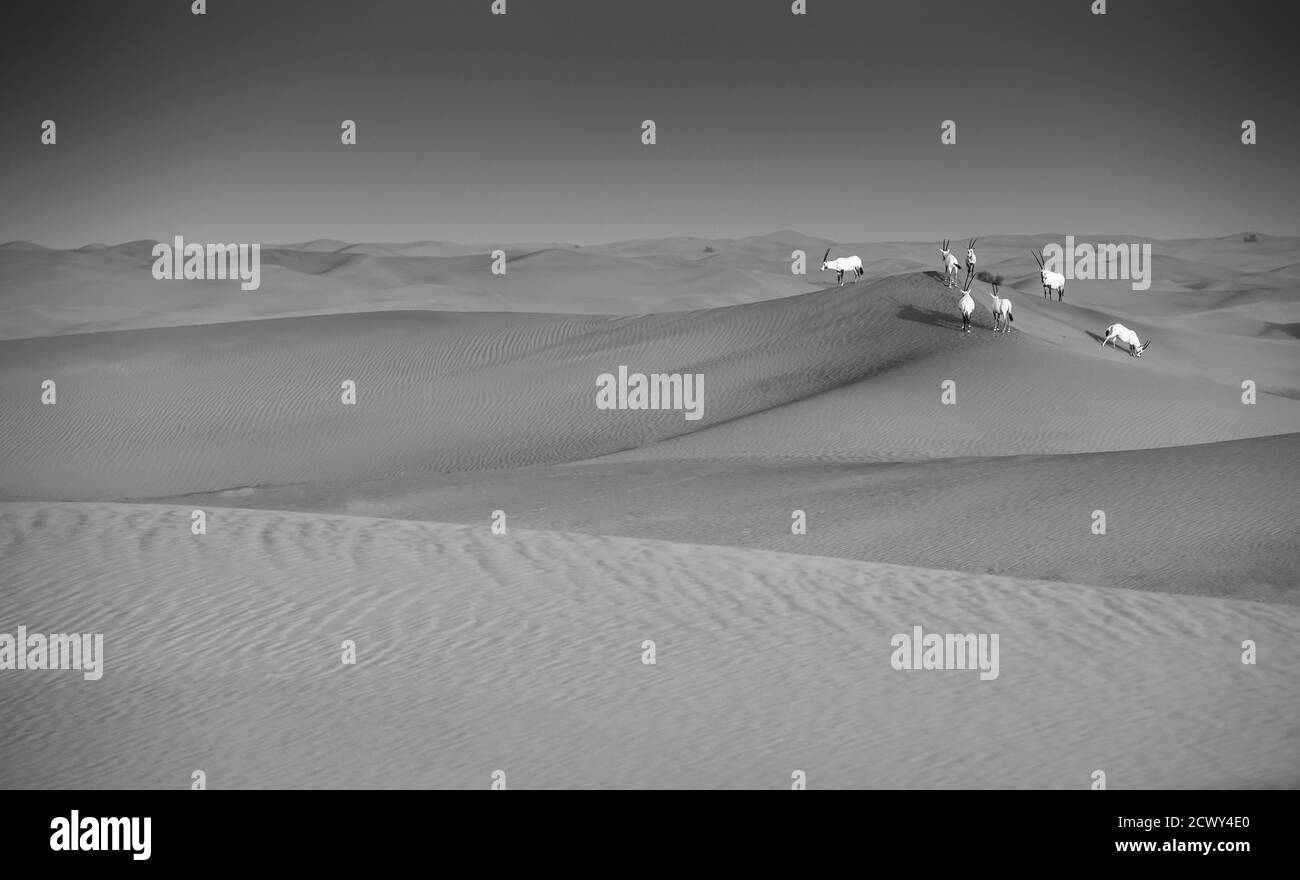 Remote desert landscape in Black and White Stock Photos & Images - Alamy