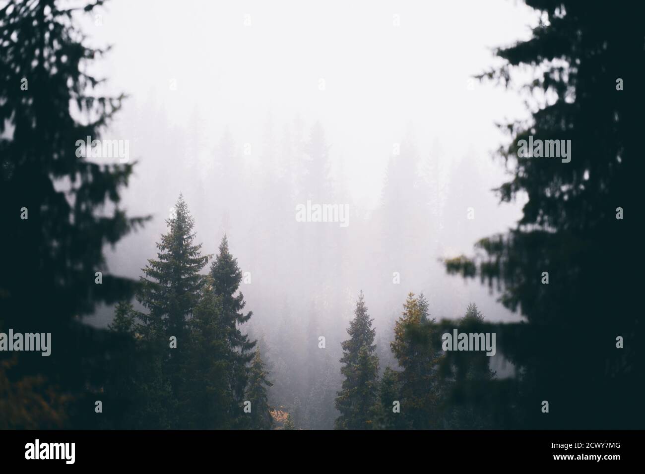 Sweden fall hi-res stock photography and images - Alamy