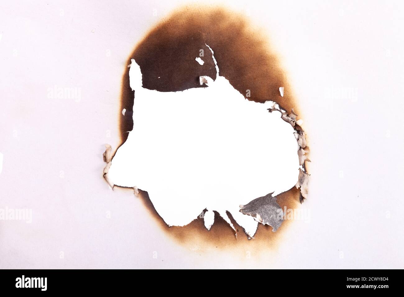 burnt paper edges isolated on white background. template for design ...