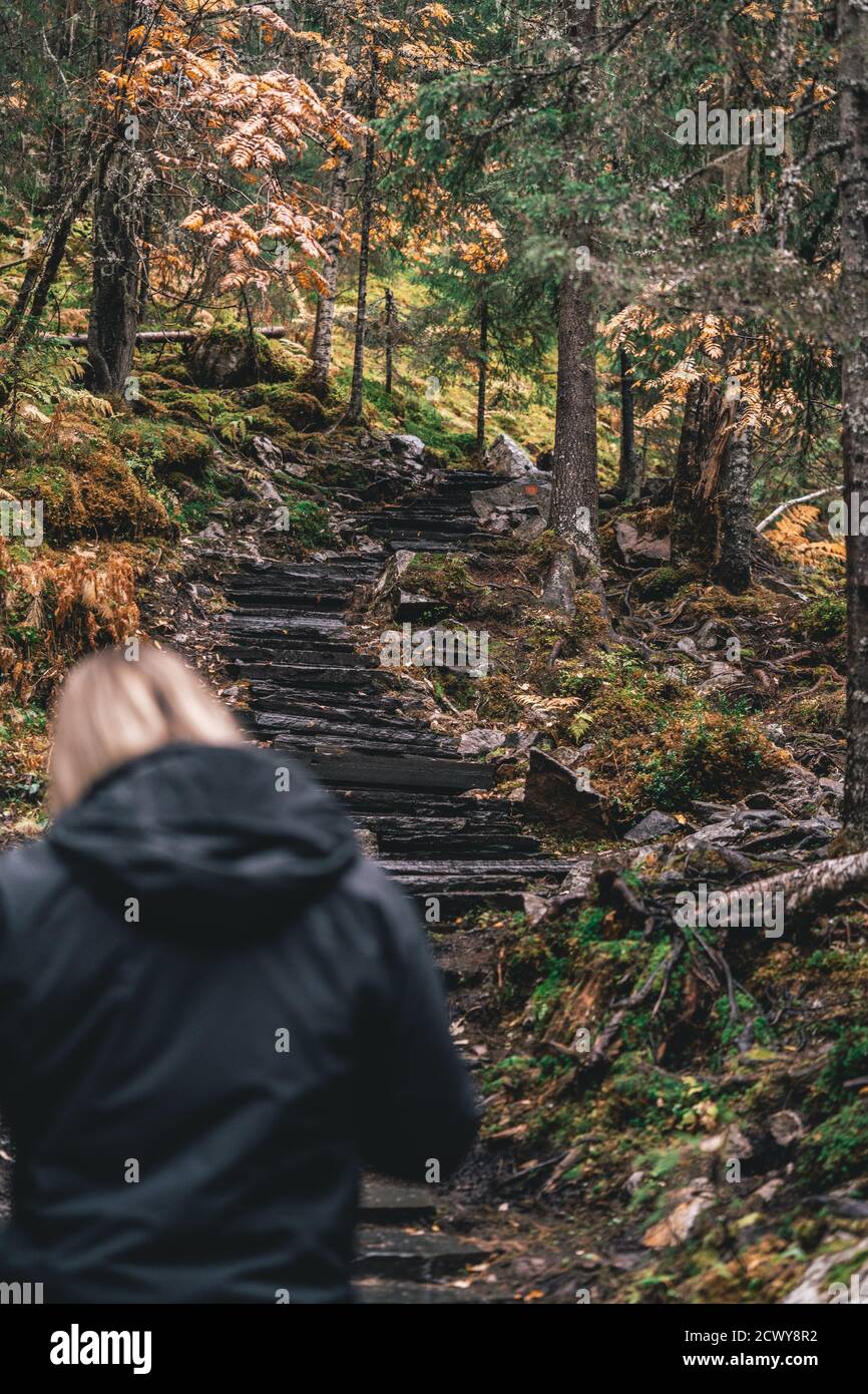 Autumn water fall in north of Sweden Stock Photo - Alamy