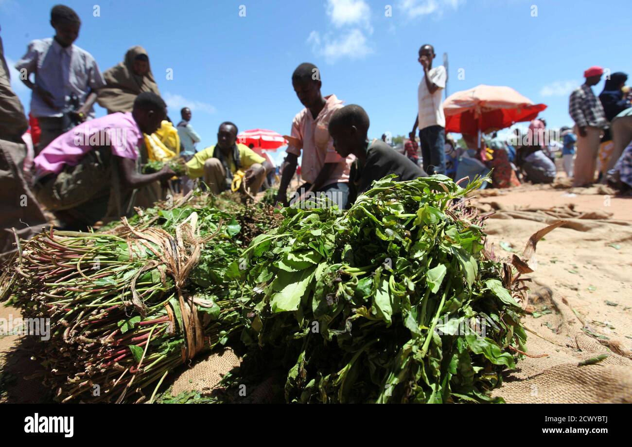 Pharmaceutical market open hi-res stock photography and images - Alamy