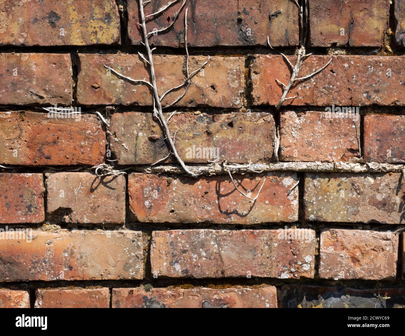 A rustic, aged, weather worn red brick wall for a textured graphic ...