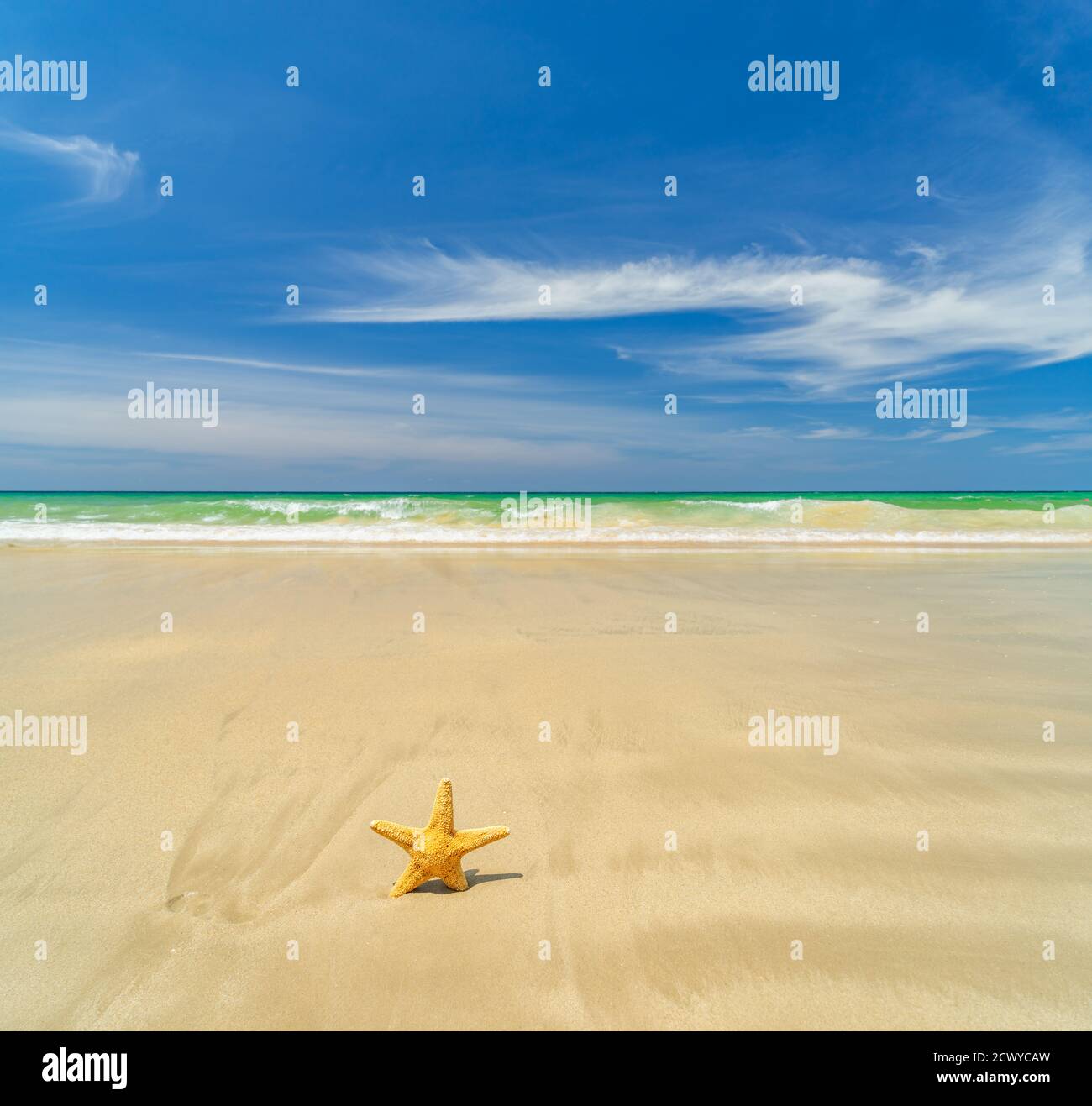 Starfish on the tropical beach on a sunny day Stock Photo - Alamy