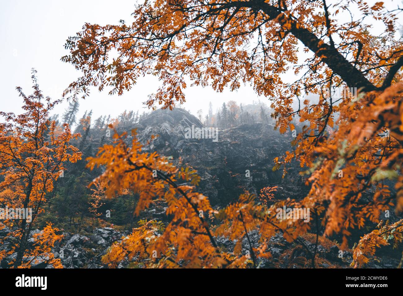 Autumn water fall in north of Sweden Stock Photo - Alamy