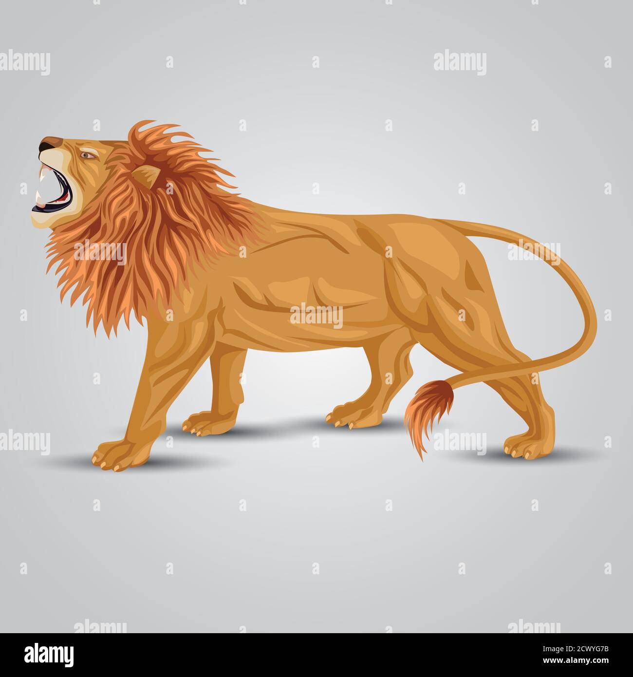 Lion Roar Side View Drawing