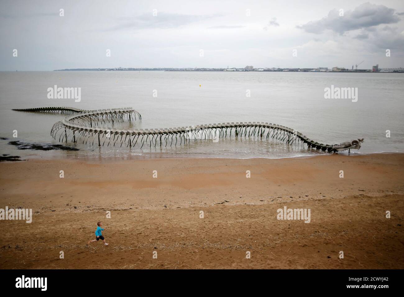 Giant snake skeleton hi-res stock photography and images - Alamy