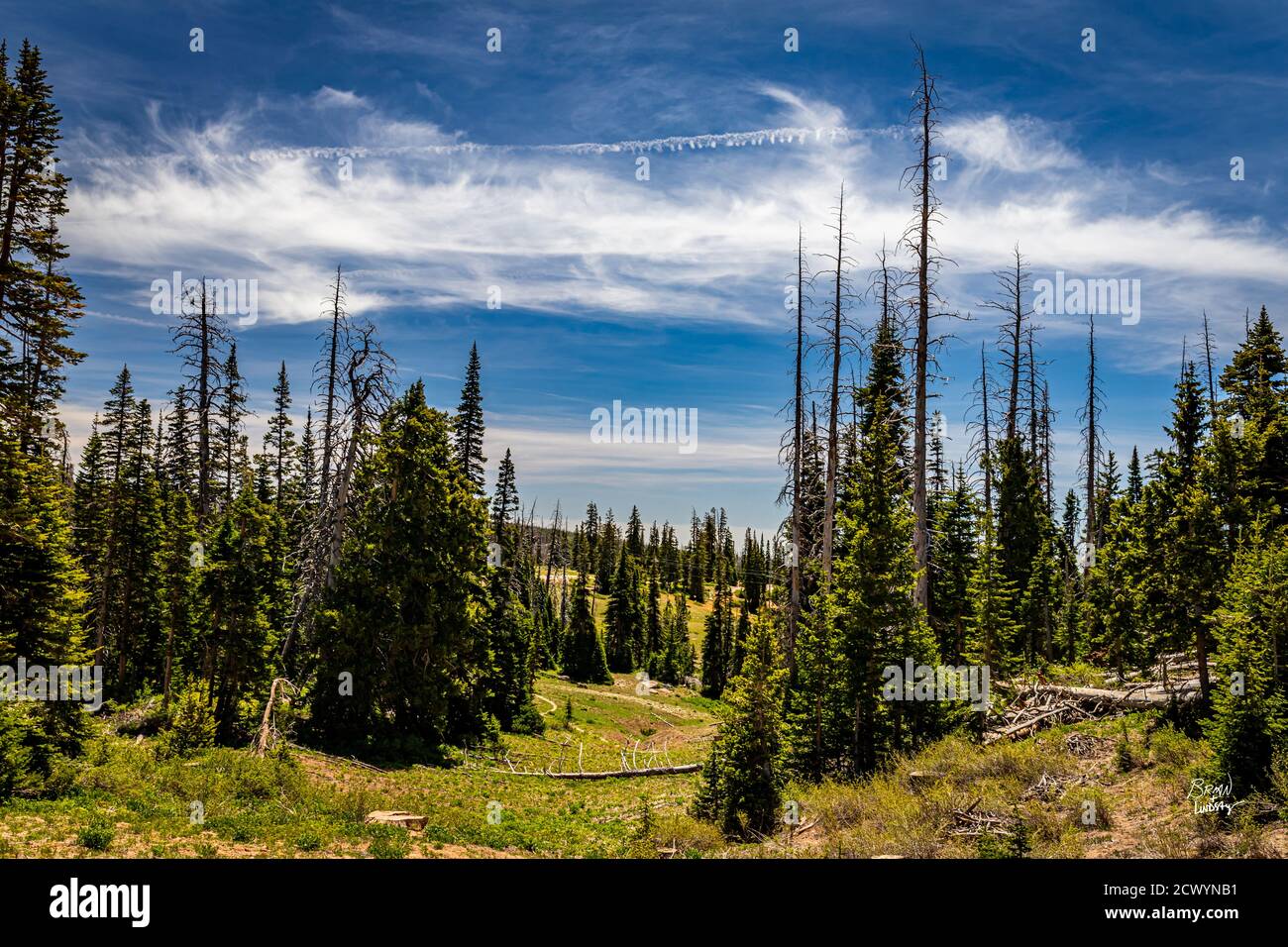 Cedar Breaks National Monument Stock Photo - Alamy