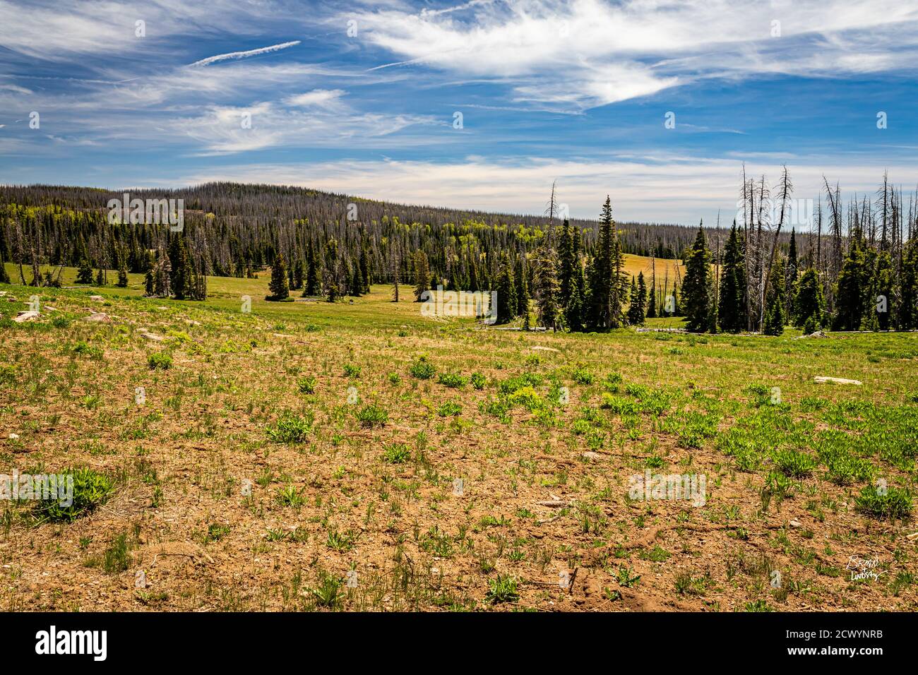 Cedar Breaks National Monument Stock Photo - Alamy