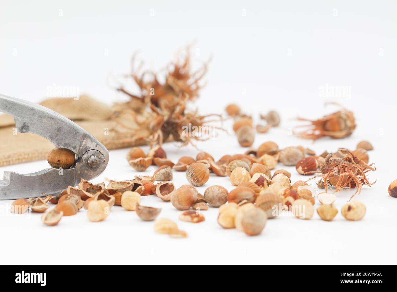 Hazelnuts with nut cracker on white background. Organic hazelnuts with ...