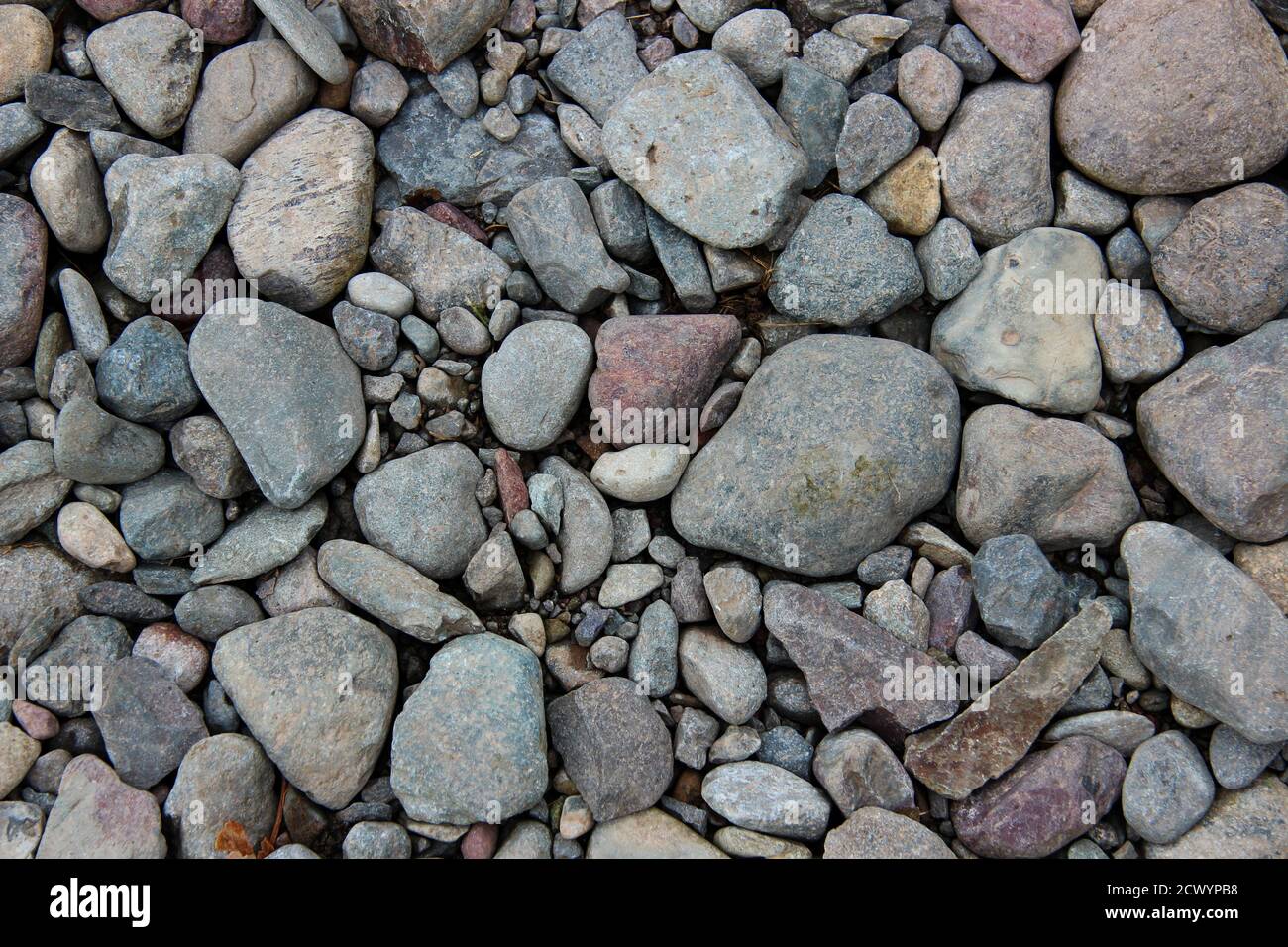 Riverside pebbles and stones hi-res stock photography and images - Alamy