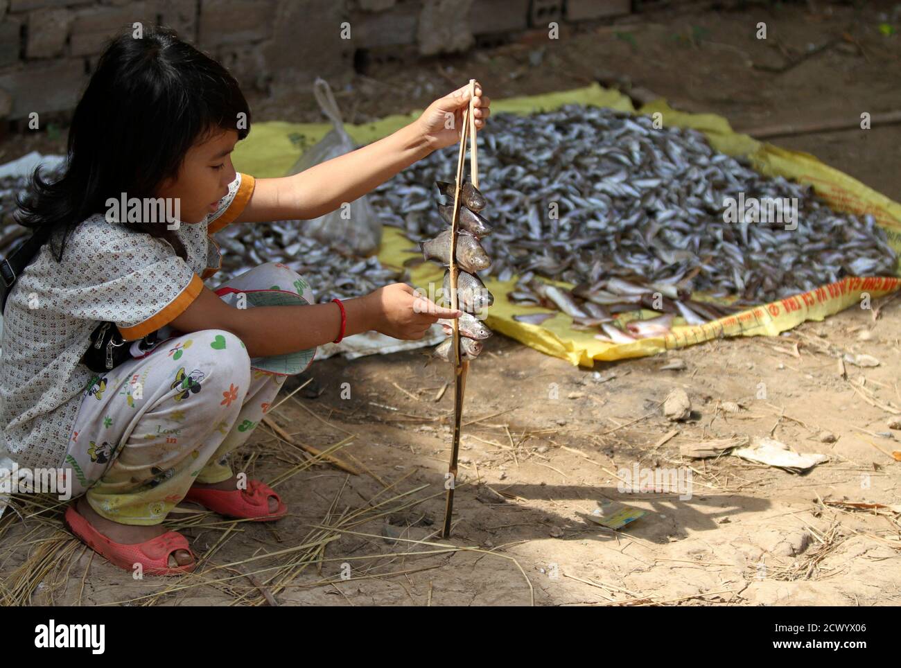 Cambodia fish paste hi-res stock photography and images - Alamy