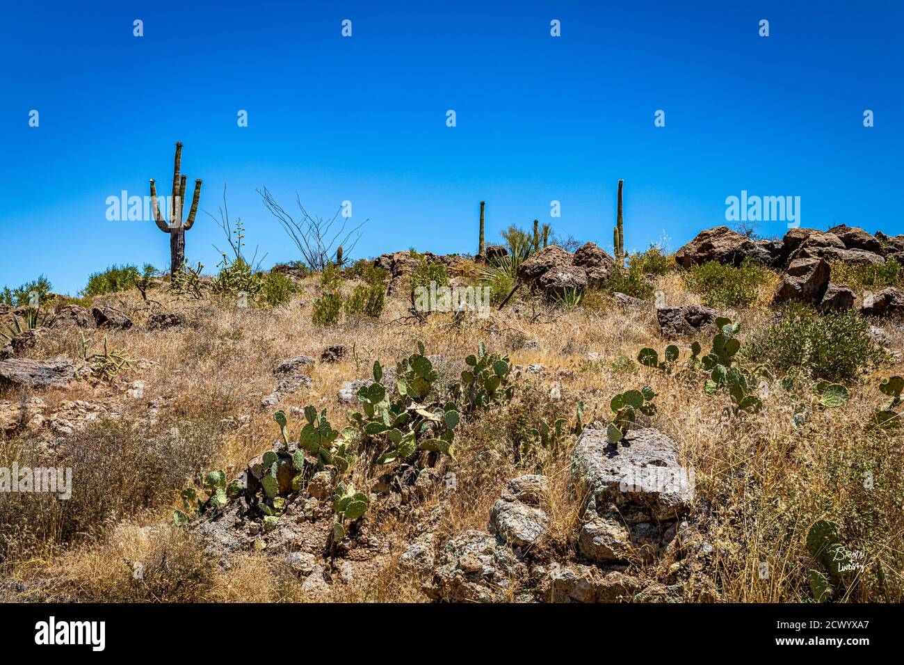 Apache Trail Scenic Drive Stock Photo - Alamy
