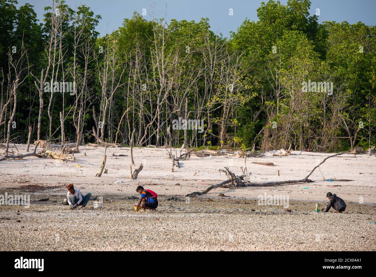 Dig For Clams High Resolution Stock Photography and Images - Alamy