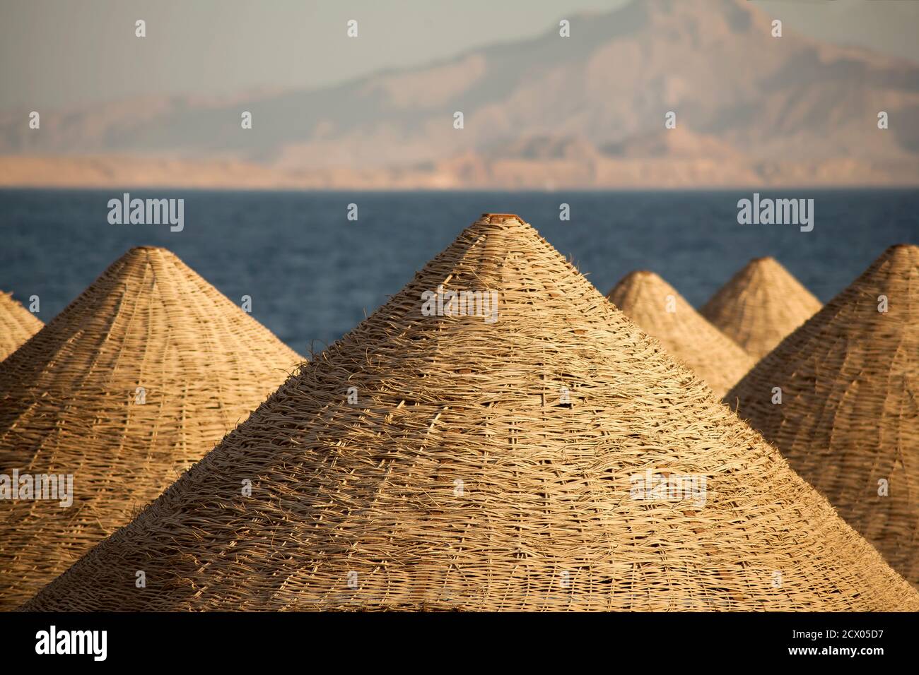 Group of Straw Sun Umbrellas from the sun in close range, with no one ...