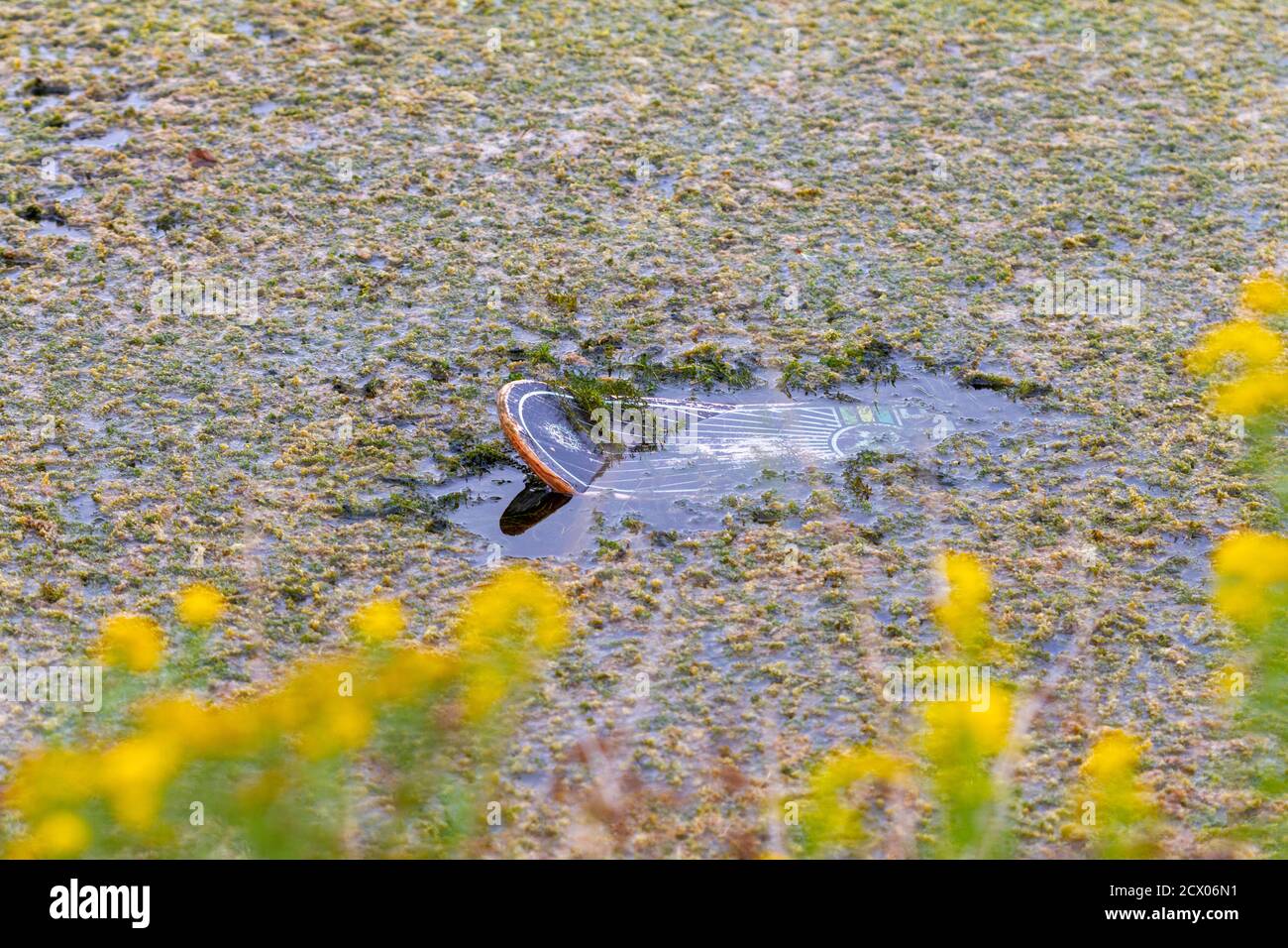 Non biodegradable waste pollution in ponds near residential areas is a ...