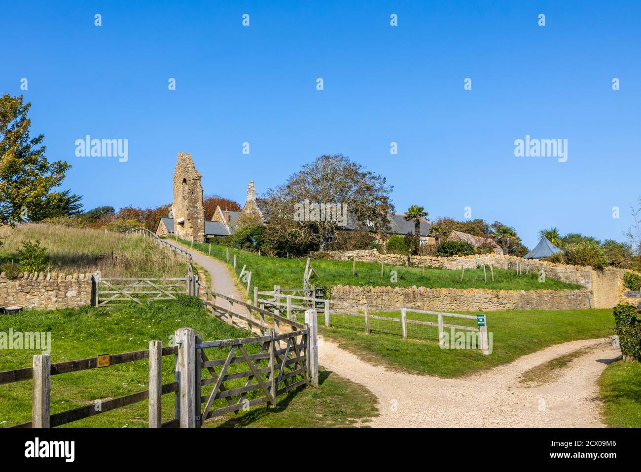 The ruined end wall of the monks dining hall or refectory of Abbotsbury ...