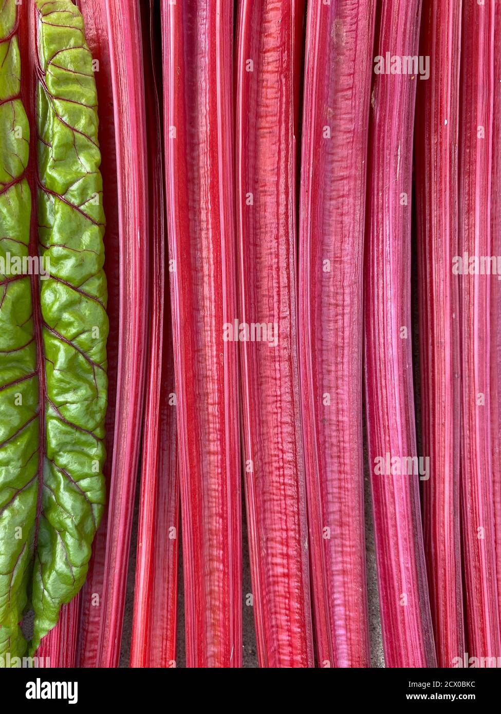 Several of color background hi-res stock photography and images - Alamy