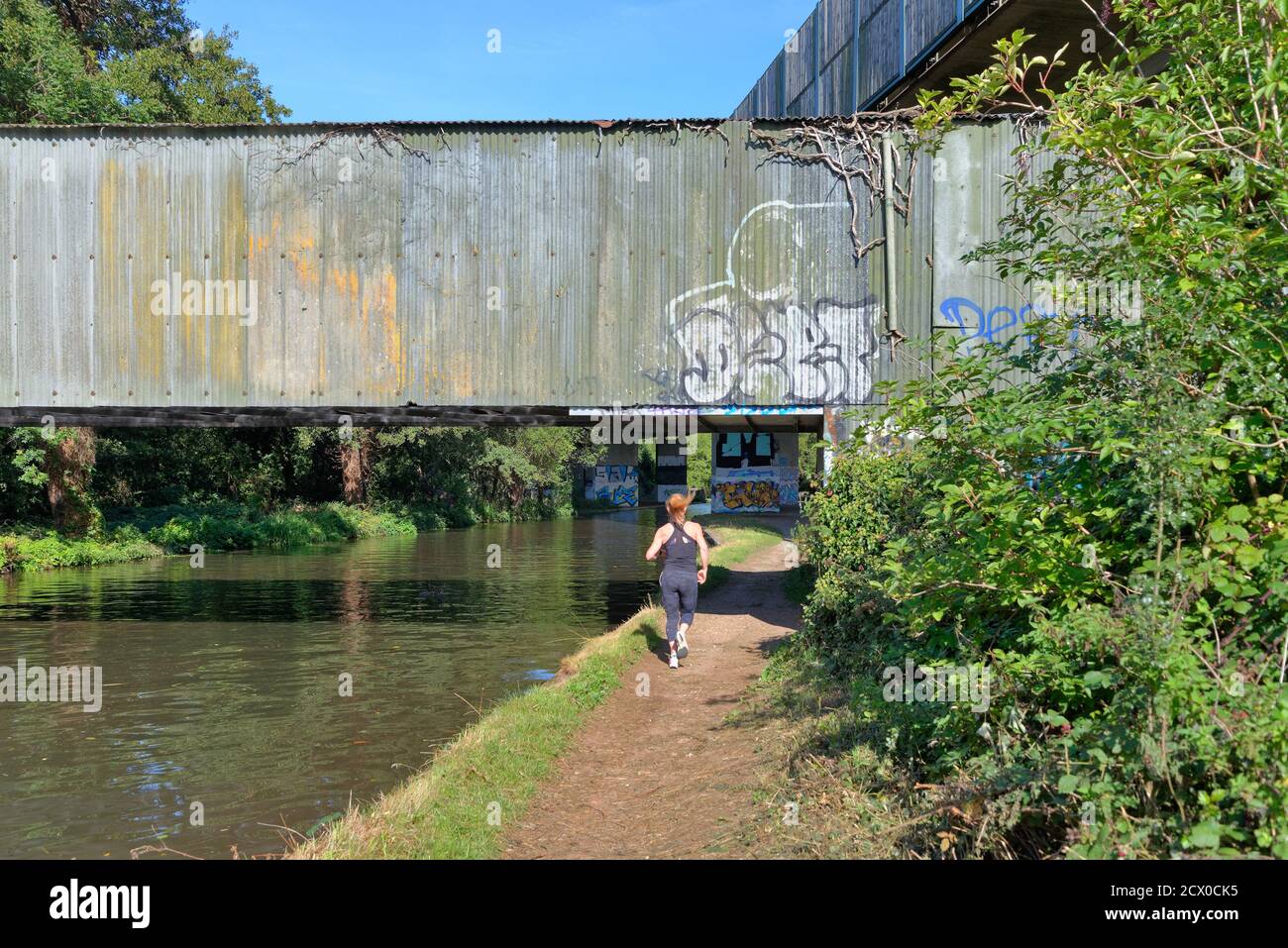 Rear view of a young female runner on the towpath of the Wey navigation ...