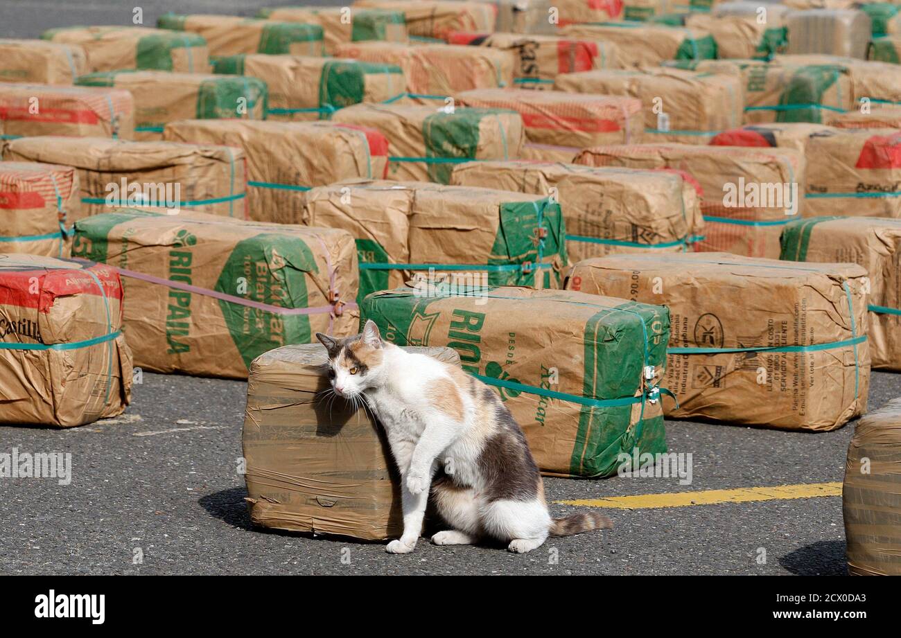 Narcotics truck hi-res stock photography and images - Alamy