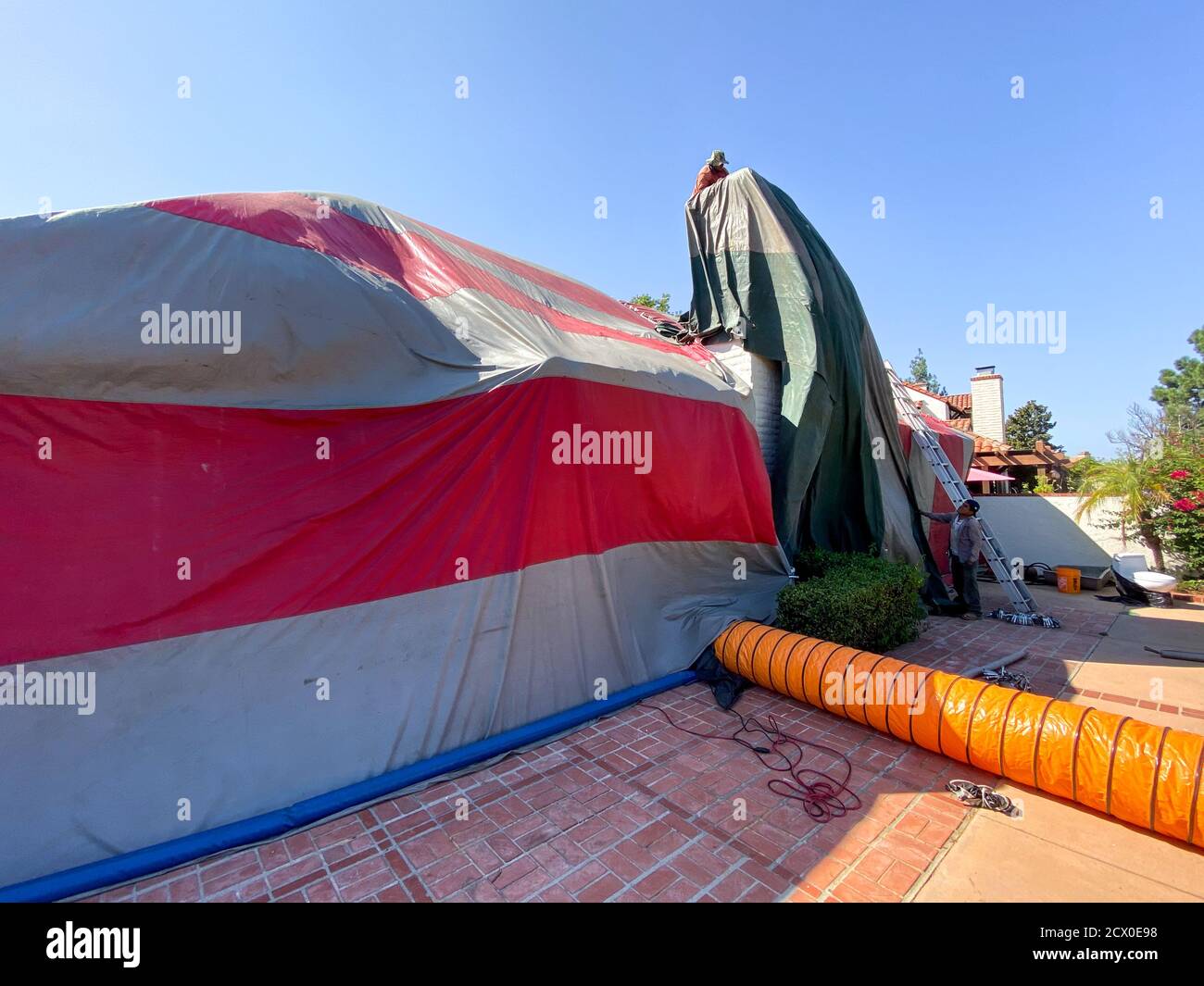 Worker installing a tent on a residential villa for termite fumigation ...
