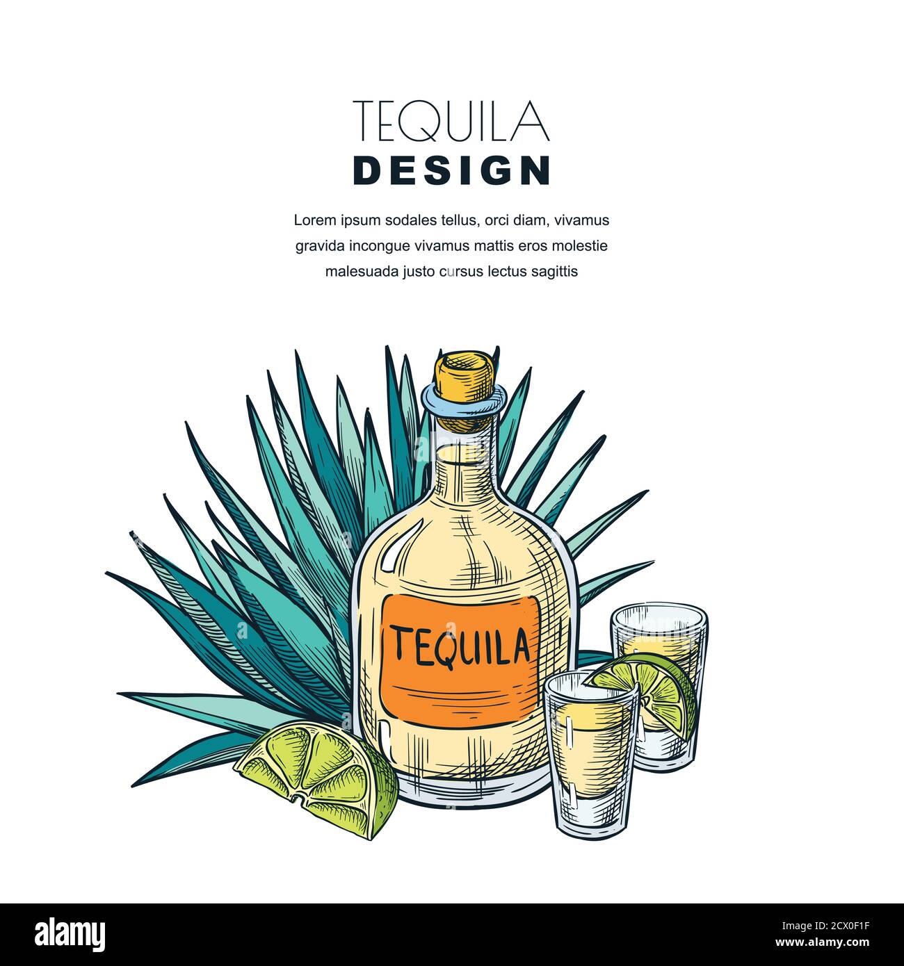 Glass lime drink on Stock Vector Images - Alamy