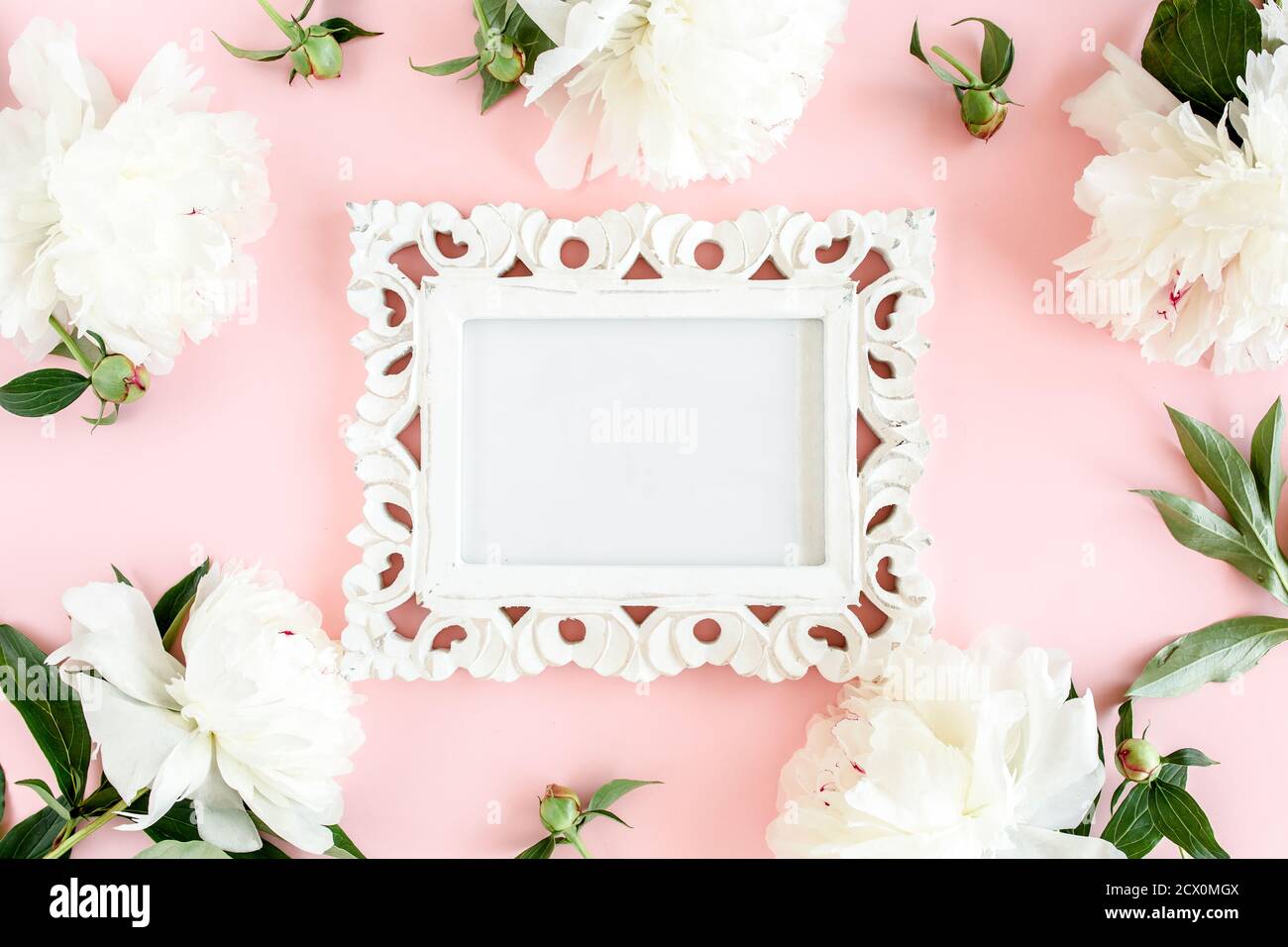 Frame of white peony flowers with space for text on pink background ...