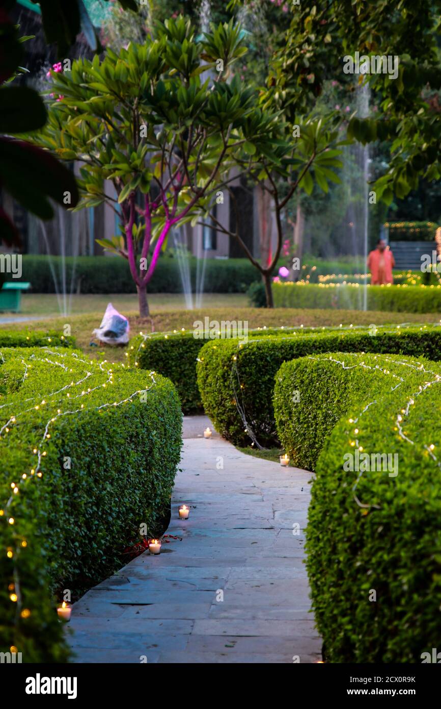 a zigzag garden pathway with dense shrubs on either side Stock Photo ...
