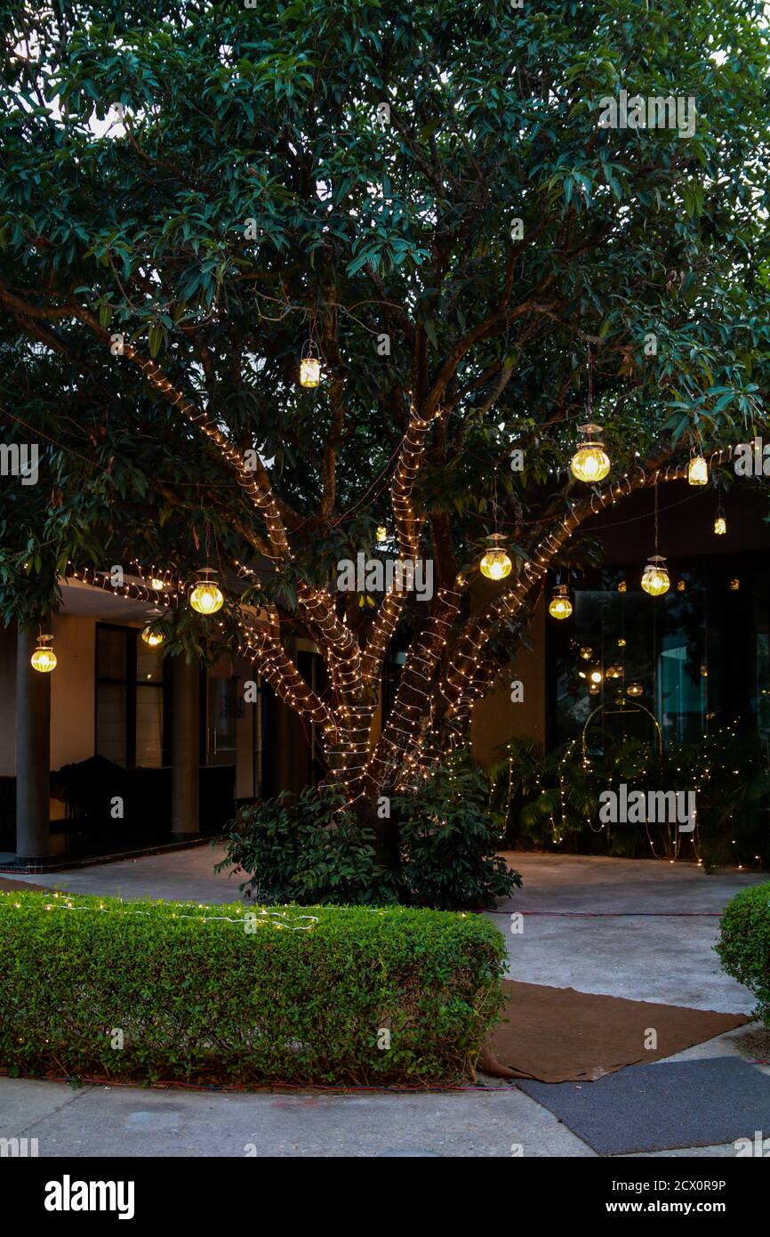 tree lighting with led strings and lantern lighting Stock Photo - Alamy