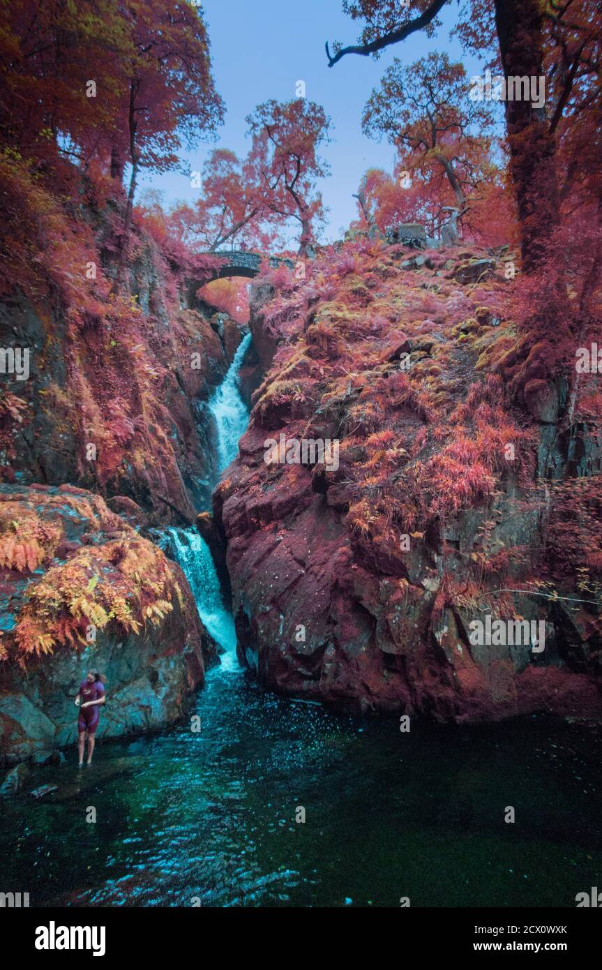 Aira Force Waterfall, Cumbria UK Stock Photo - Alamy