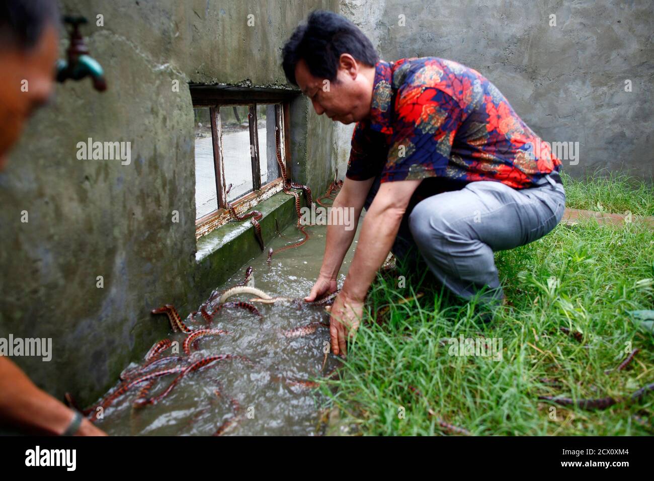 Hongchang hi-res stock photography and images - Alamy