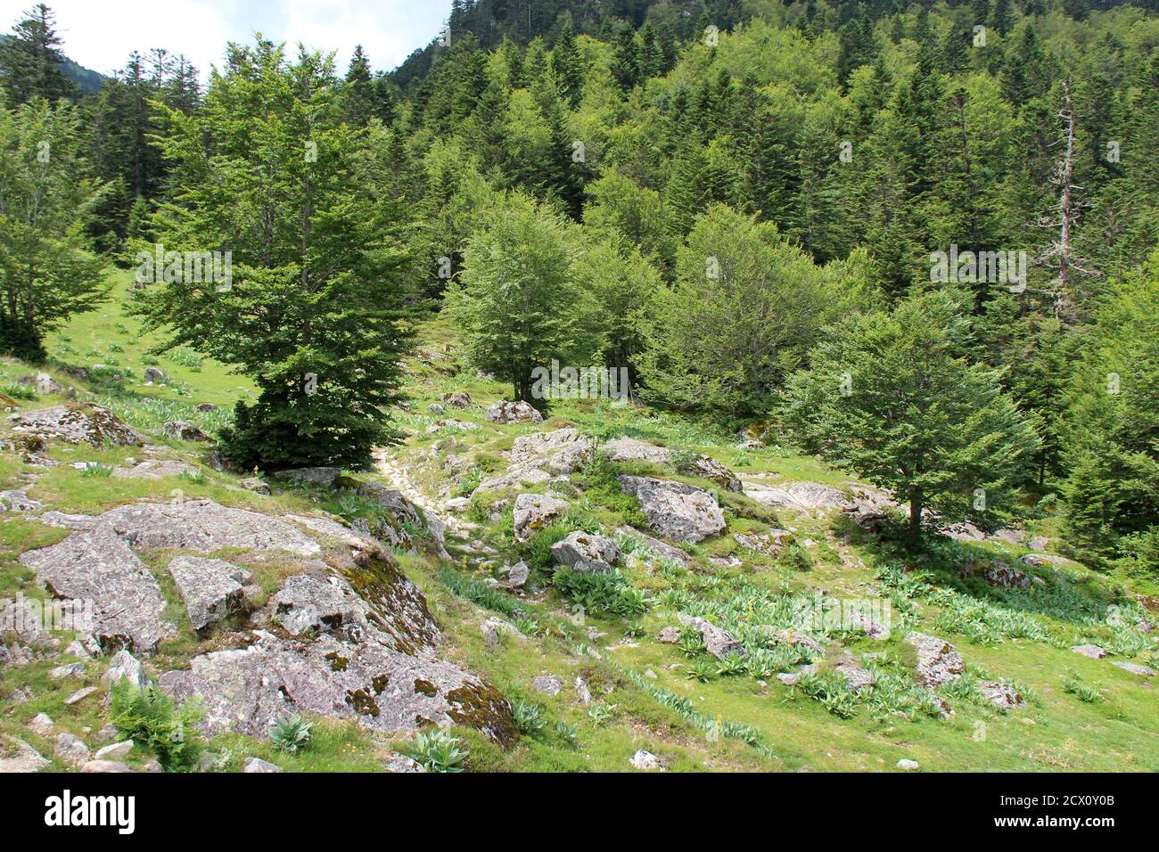 landscape in the french pyrenees (france Stock Photo - Alamy
