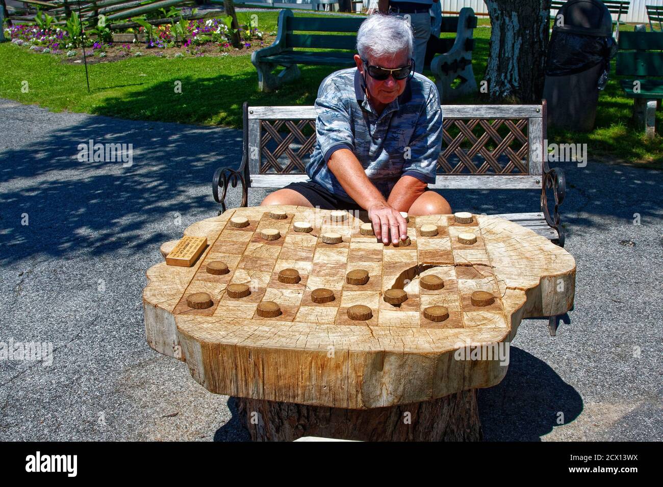 senior man playing checkers, outdoors, tree stump table, tree branch ...