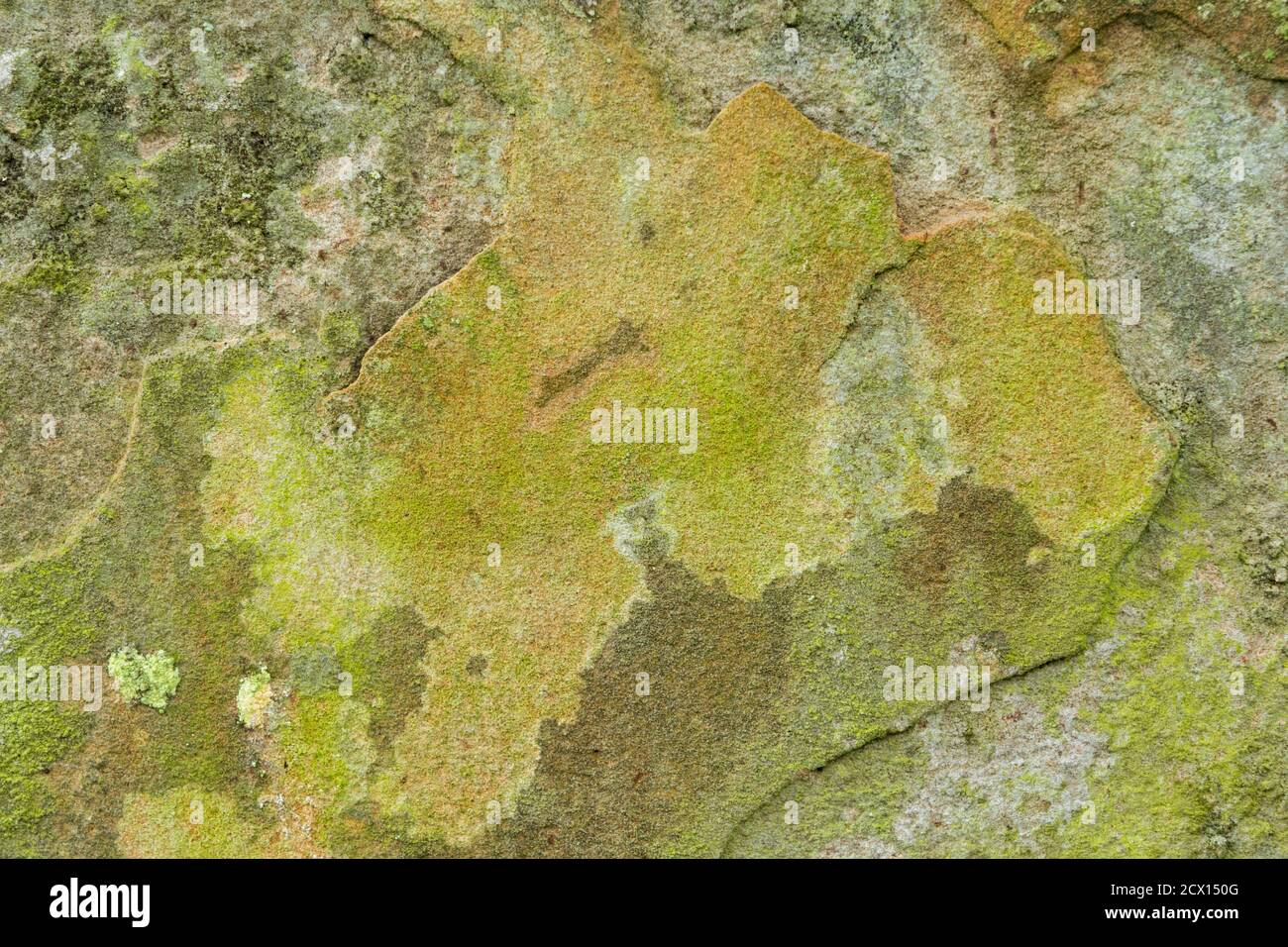 Natural rustic pattern with lichen and texture formed on an old slab of ...