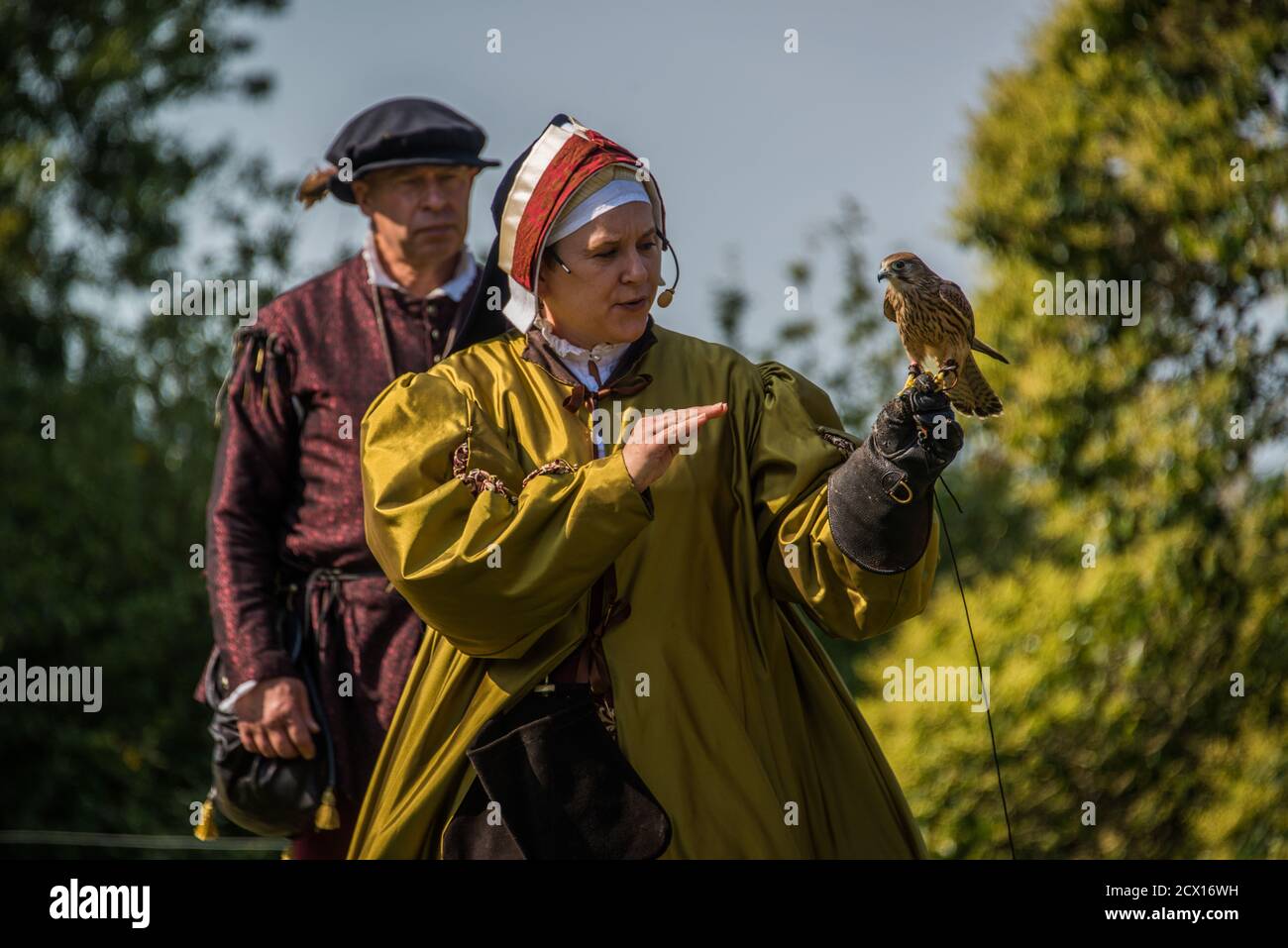 A lady Falconer with young trainee Kestrel Stock Photo - Alamy