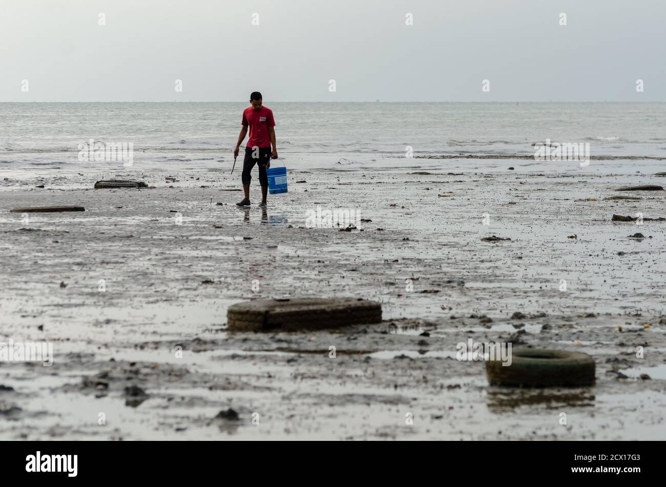 Batu Maung, Penang/Malaysia - Dec 28 2019: A fisherman search for clam ...