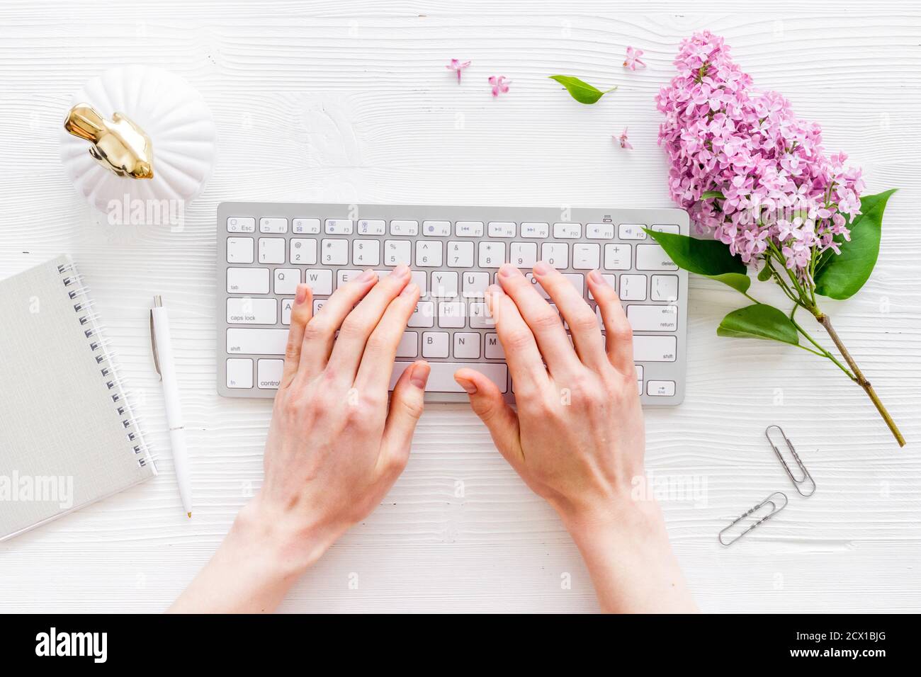 Girl typing on computer keyboard bright office space with flowers ...