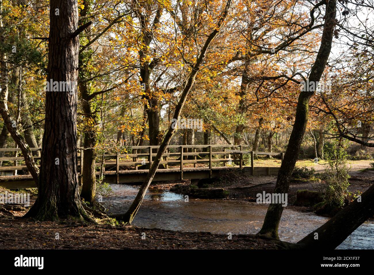 A foot bridge over water during Autumn in The New Forest, Hampshire ...