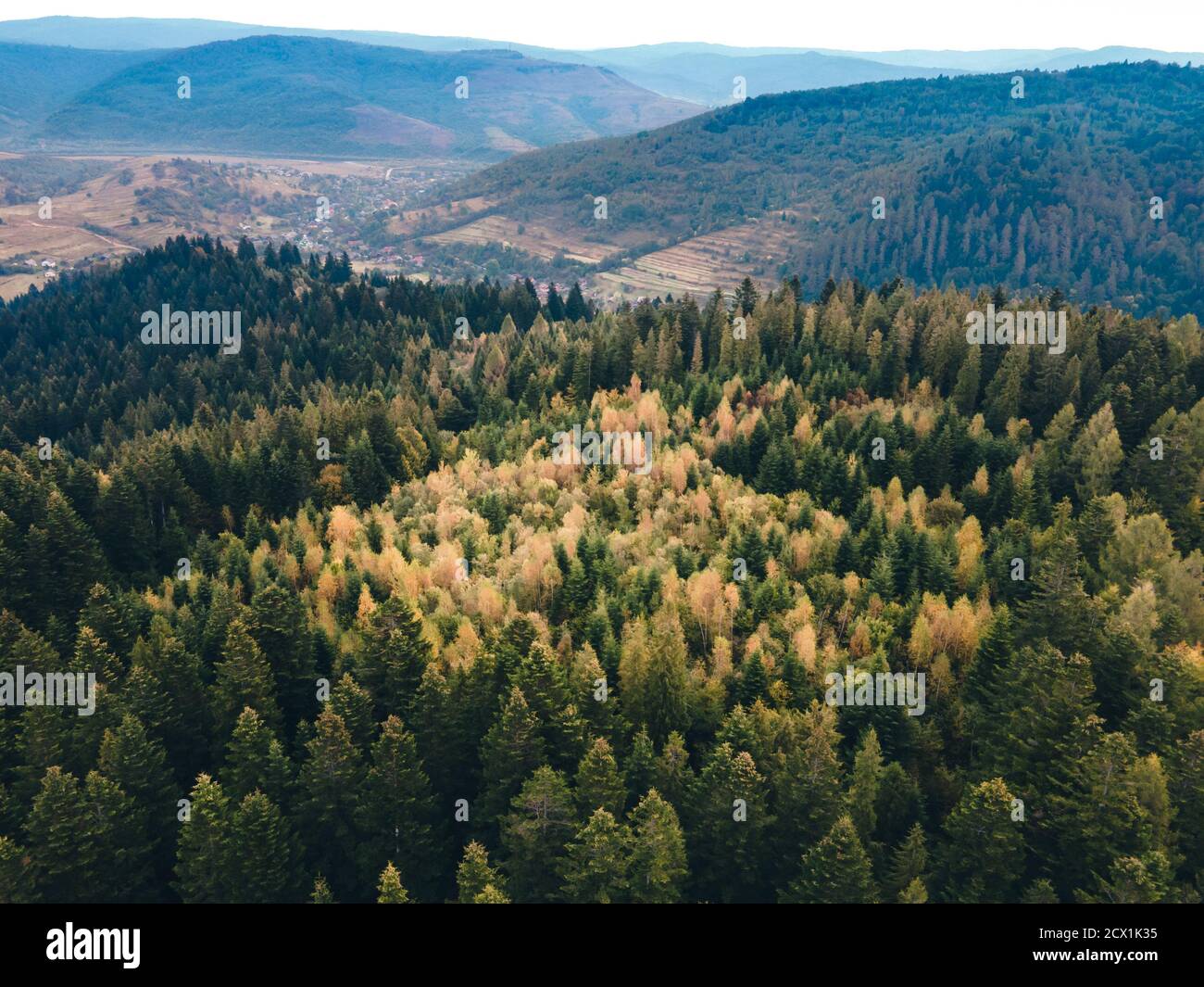 Aerial flight overhead autumn tree hi-res stock photography and images ...