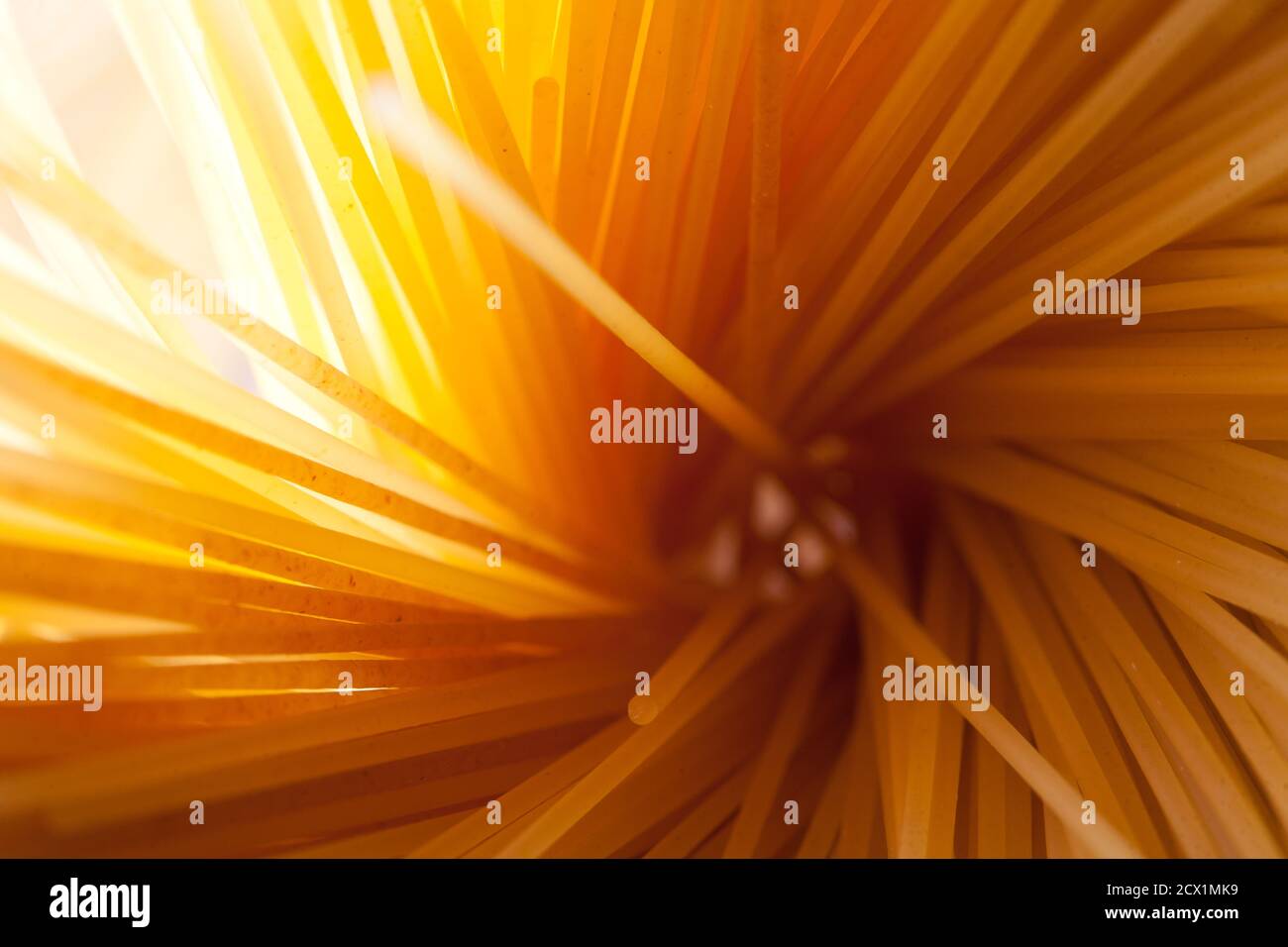 Italian spaghetti stacked in creative way and backlighted Stock Photo ...