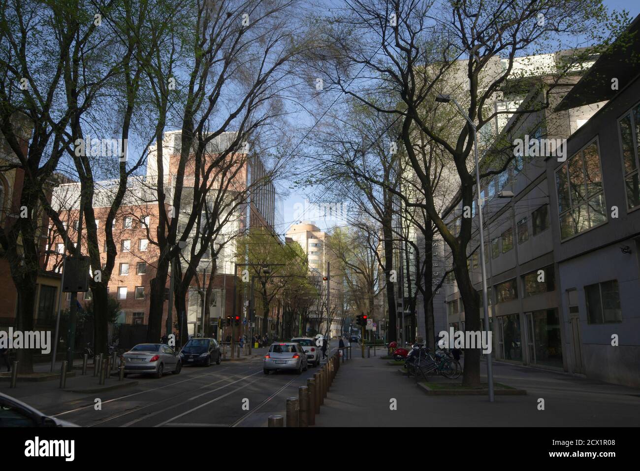typical tree-lined street of the productive center of the city on early ...