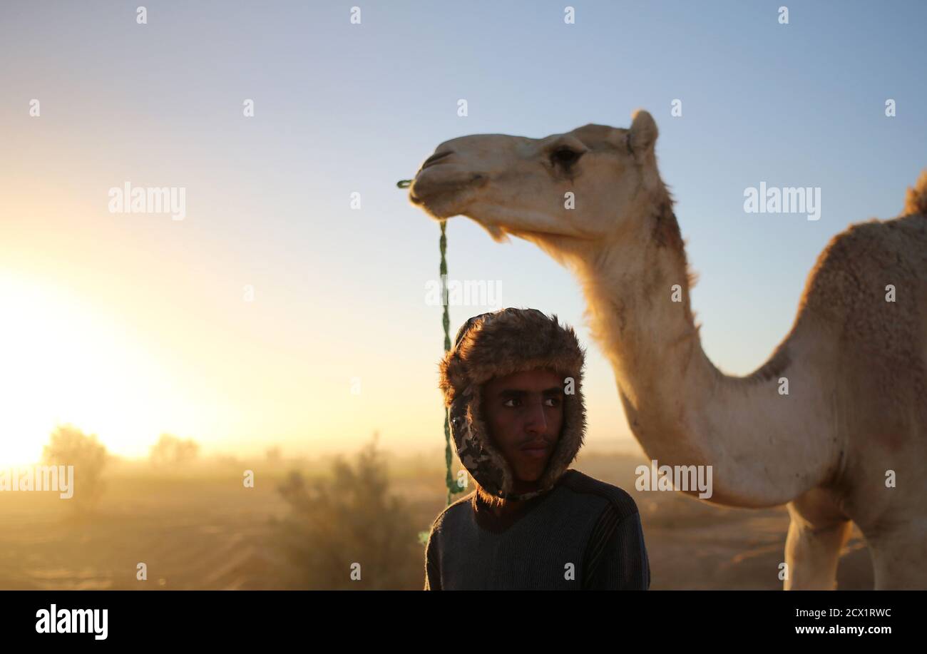 Libya tuareg camel africa desert hi-res stock photography and images ...