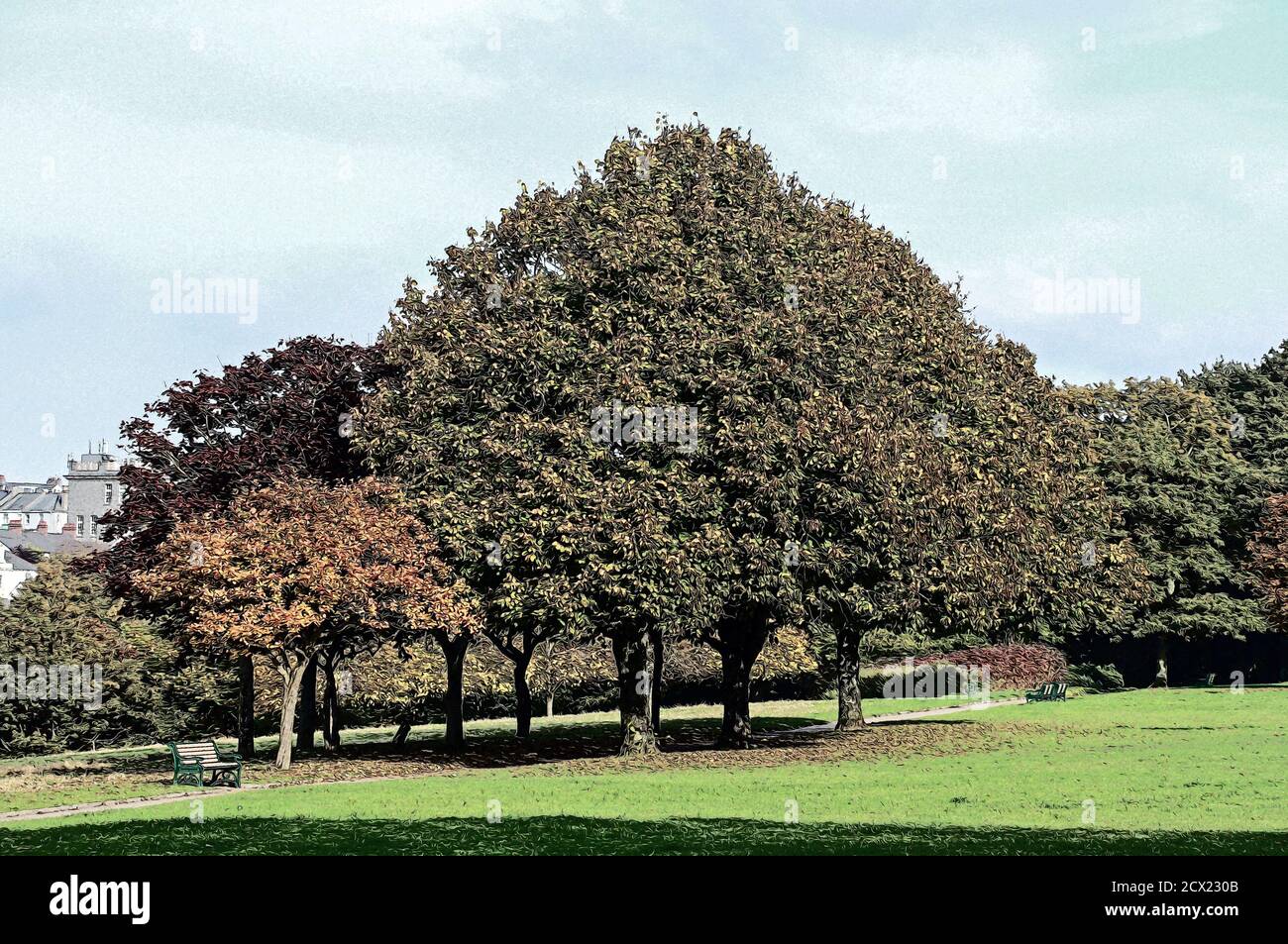 Devonport park hi-res stock photography and images - Alamy