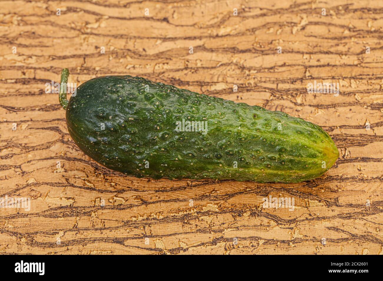 Green ripe fresh one cucumber over background Stock Photo - Alamy