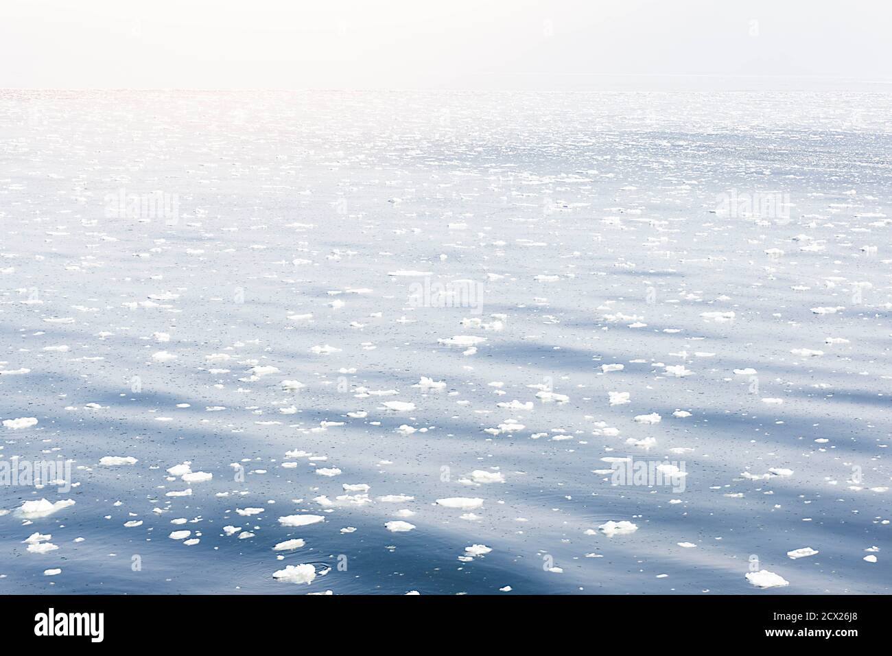 Snow floating on ocean Stock Photo - Alamy