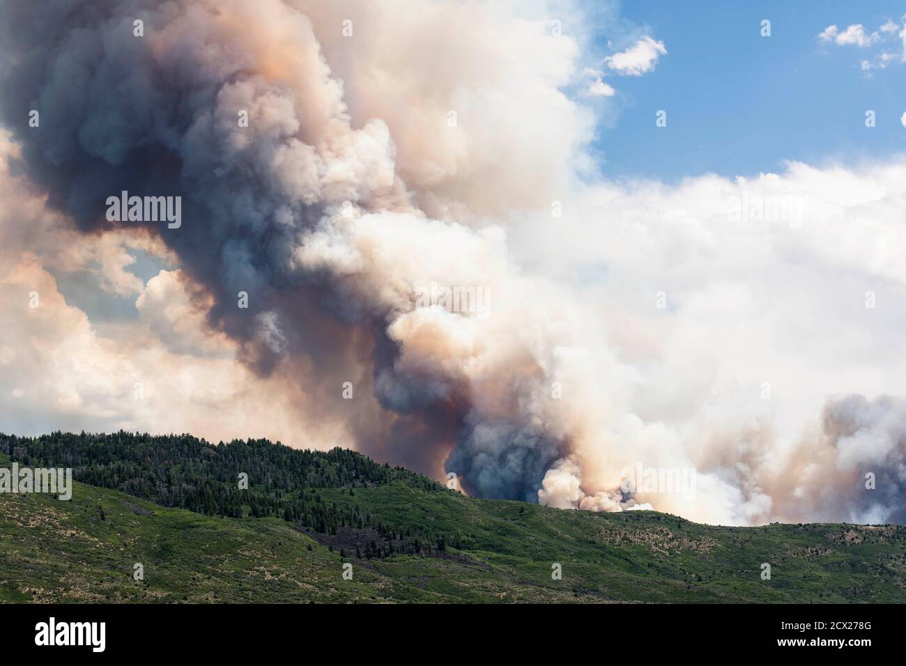 Smoke emitting from wildfire hi-res stock photography and images - Alamy