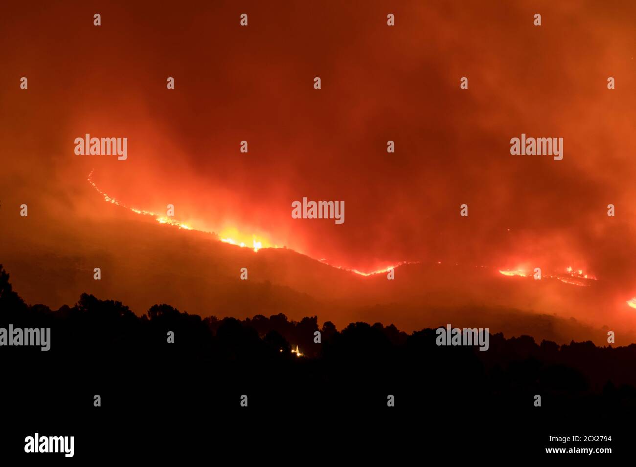 Smoke emitting from forest fire at dusk Stock Photo - Alamy