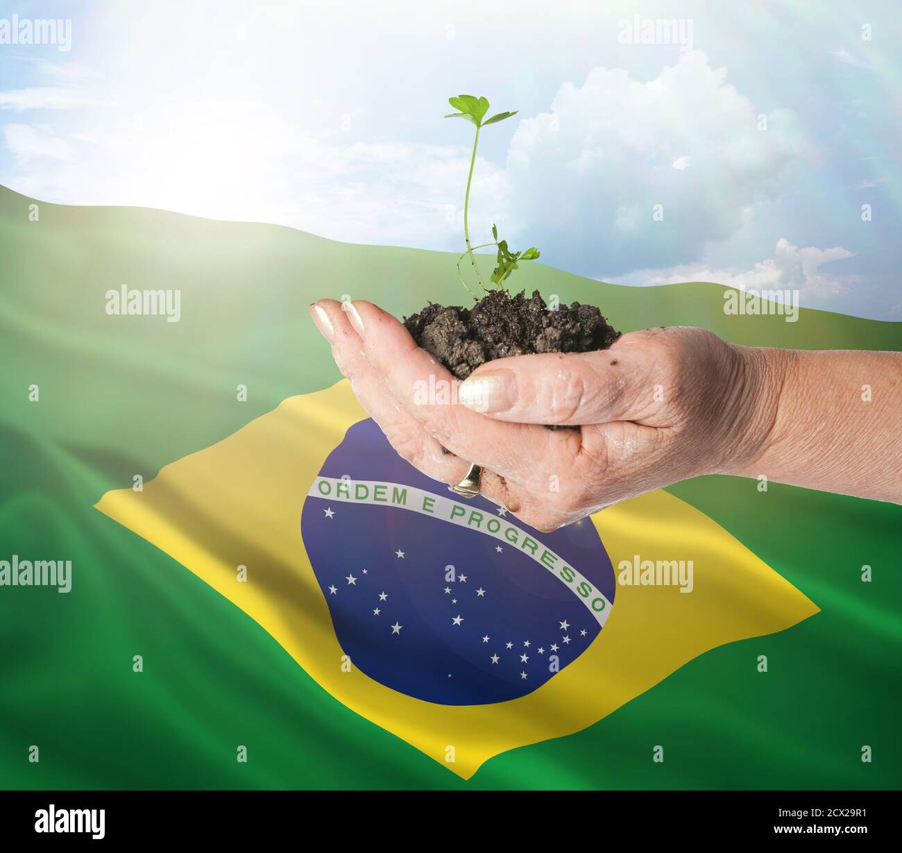 Brazil growth and new beginning. Green renewable energy and ecology ...