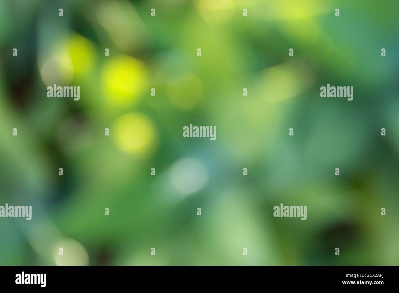 Shades of green abstract hi-res stock photography and images - Alamy