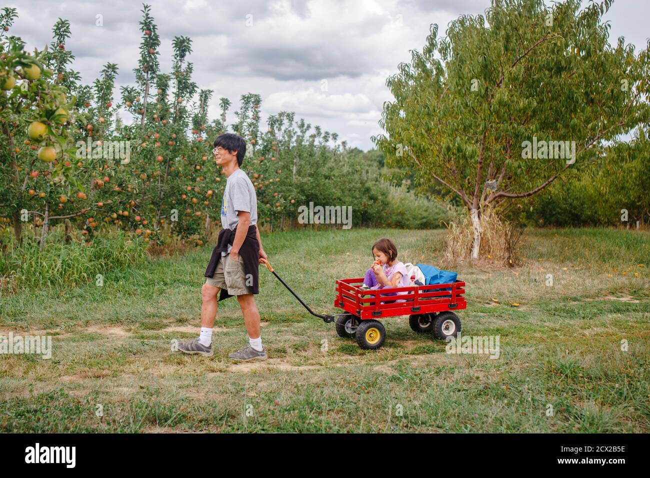 Boy pulling wagon hi-res stock photography and images - Alamy